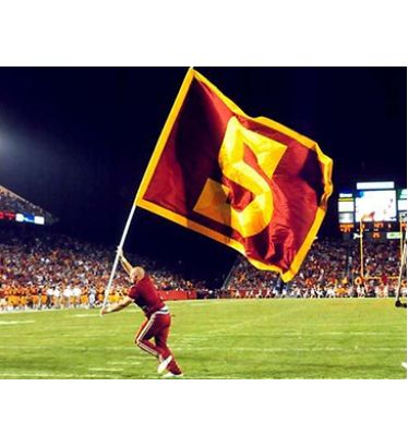 10' School Spirit Flag Pole - School Spirit Flags | Tuff Flags - 888 ...