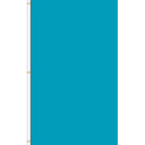 8'x3' Solid Color Vertical Attention Flags - Tall Flags - Solid ...