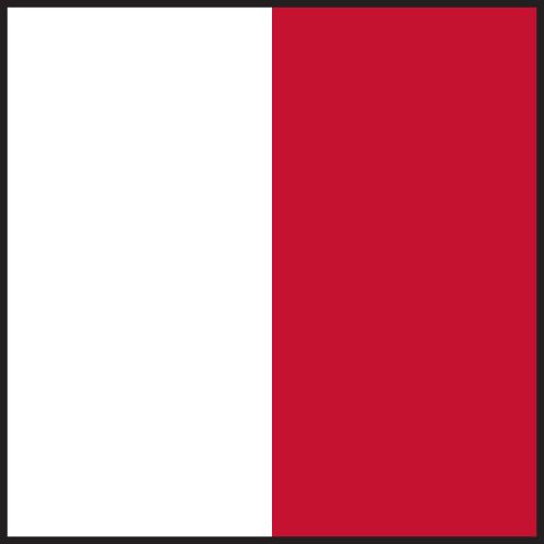 Hotel Flag - Pilot on Board - Individual Flag with Brass Grommets ...