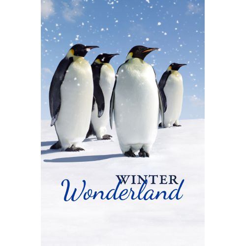 3'x5' Winter Wonderland Nylon Flag - Decorative Flags | Tuff Flags ...