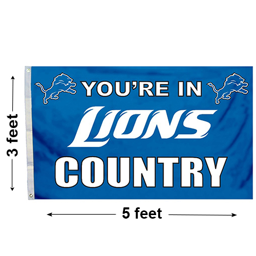 3'x5' Detroit Lions Country Outdoor Flag - Football Flags | Tuff Flags ...